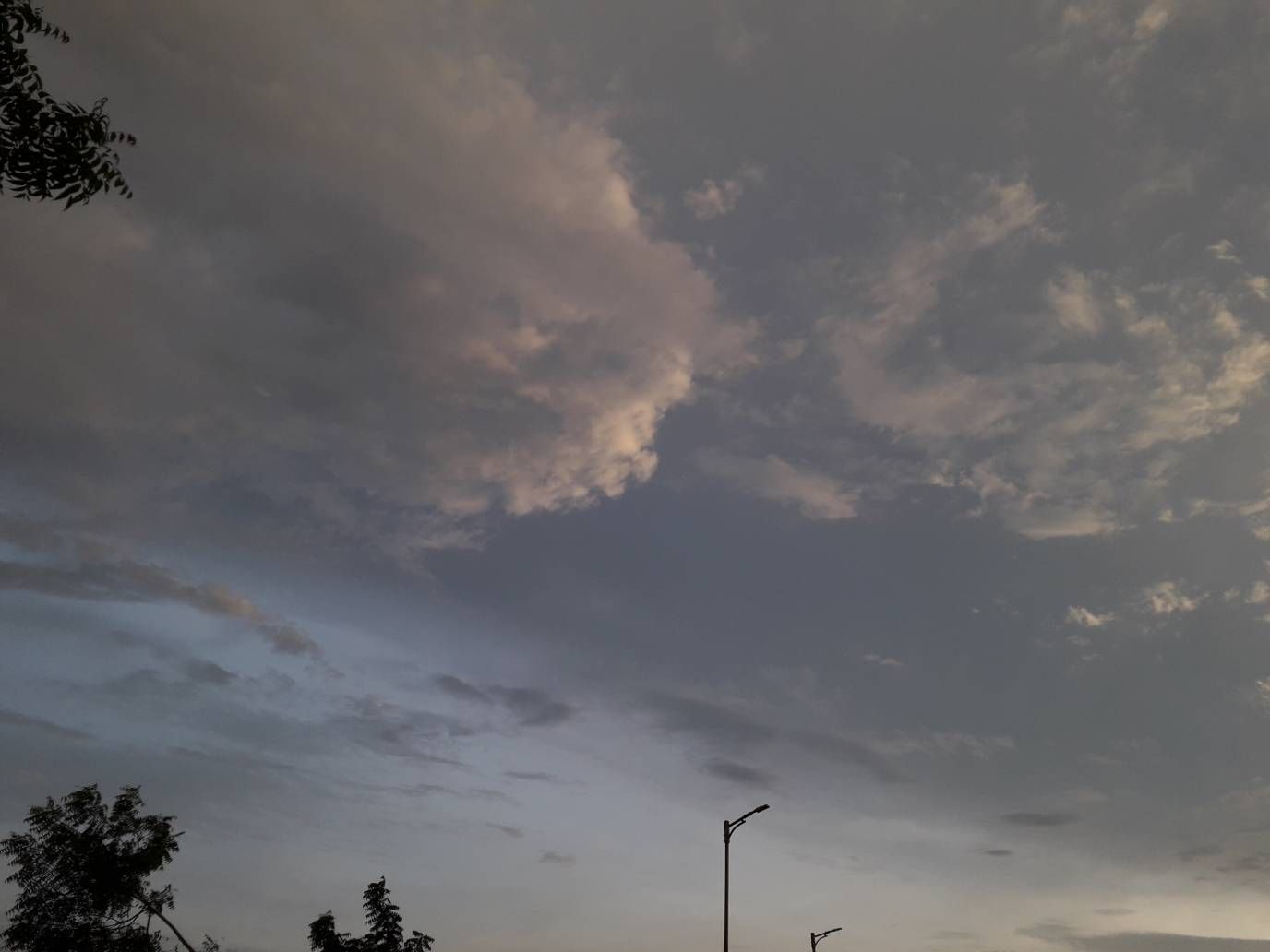 g1 - Samsung Members