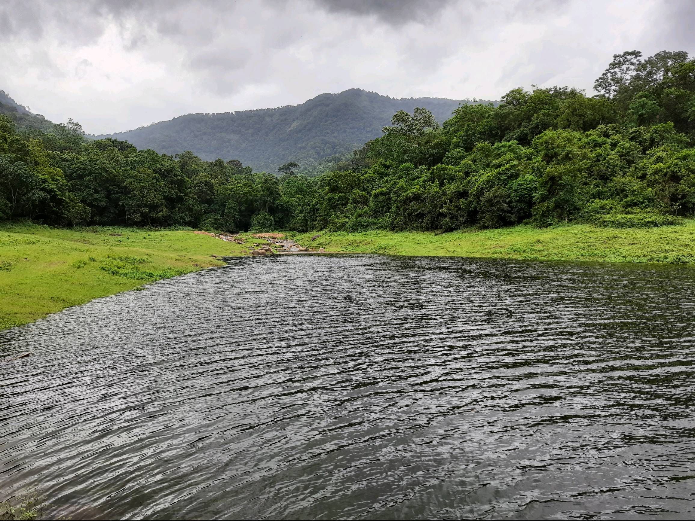 Chimmini in Kerala photography #withgalaxy - Samsung Members