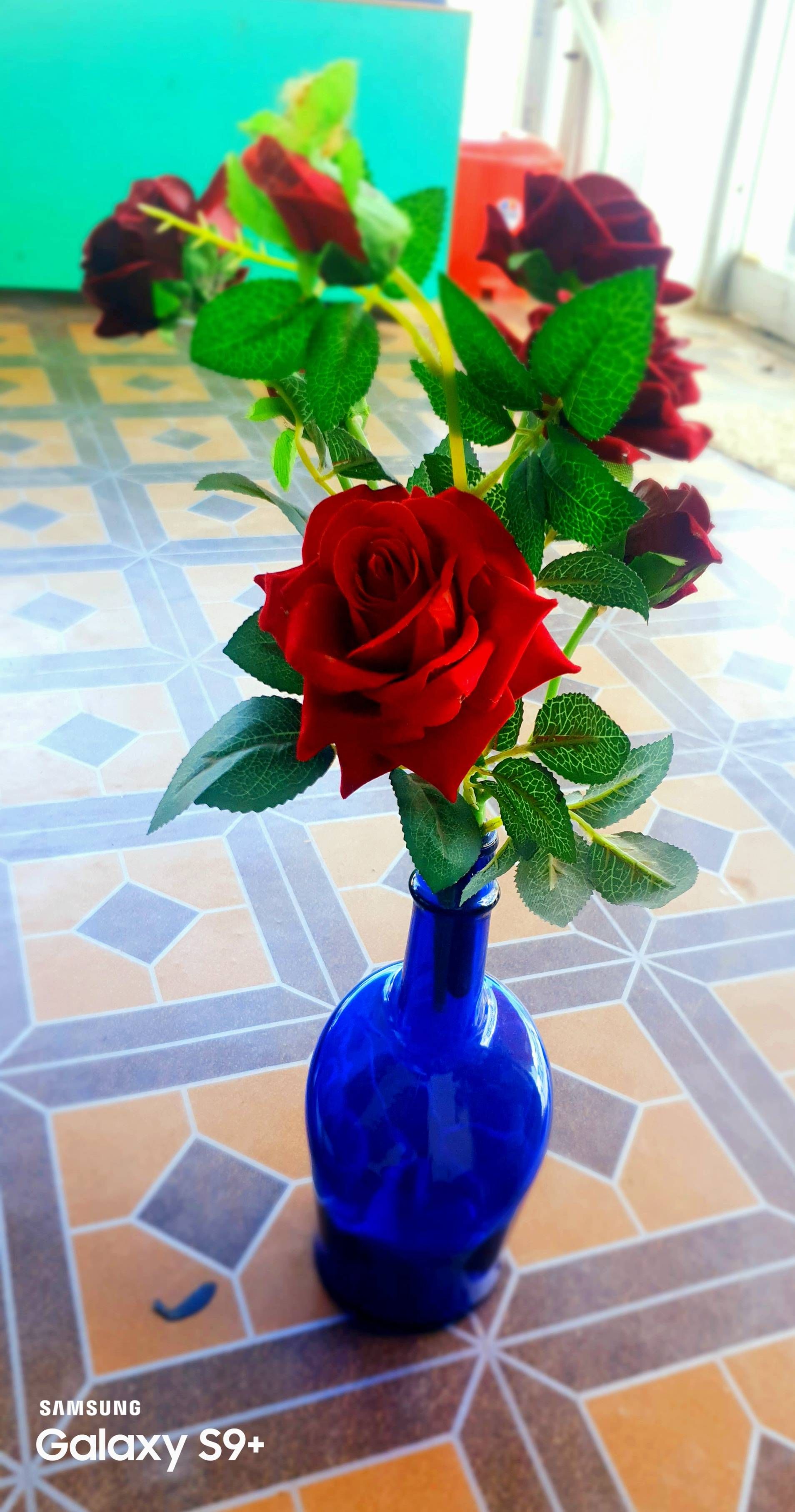 Photo Shoot SAMSUNG GLAXY s9plus - Samsung Members