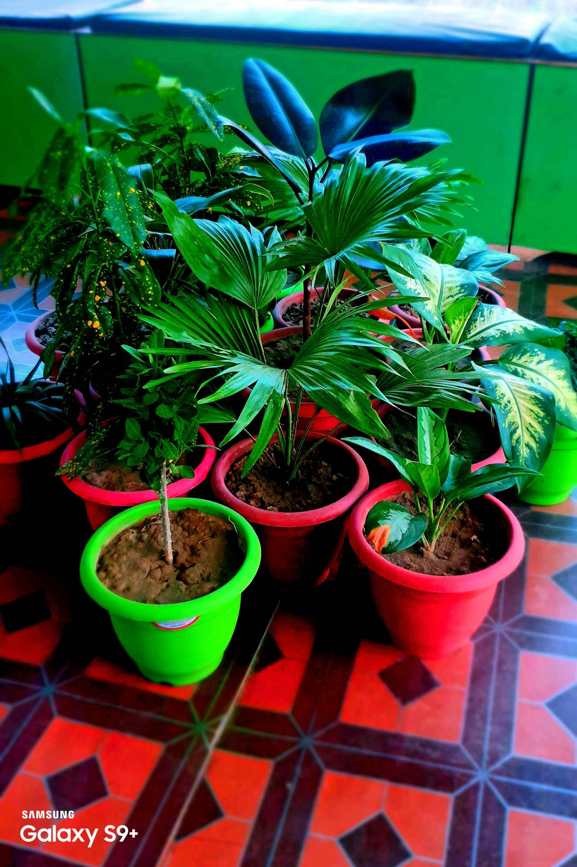 Photo Shoot SAMSUNG GLAXY s9plus - Samsung Members