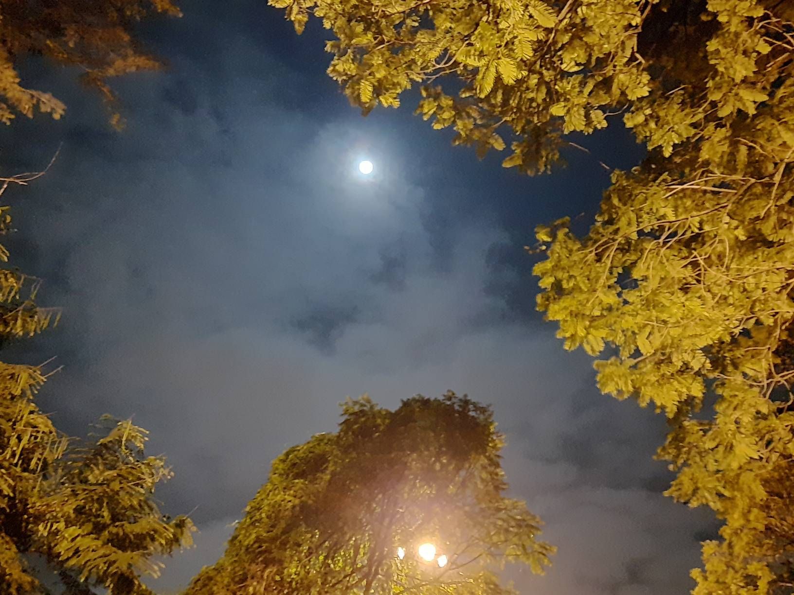 Galaxy Click - Samsung Members