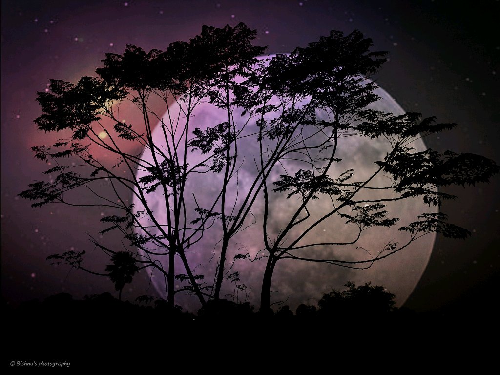 captured by "galaxy j6" - Samsung Members