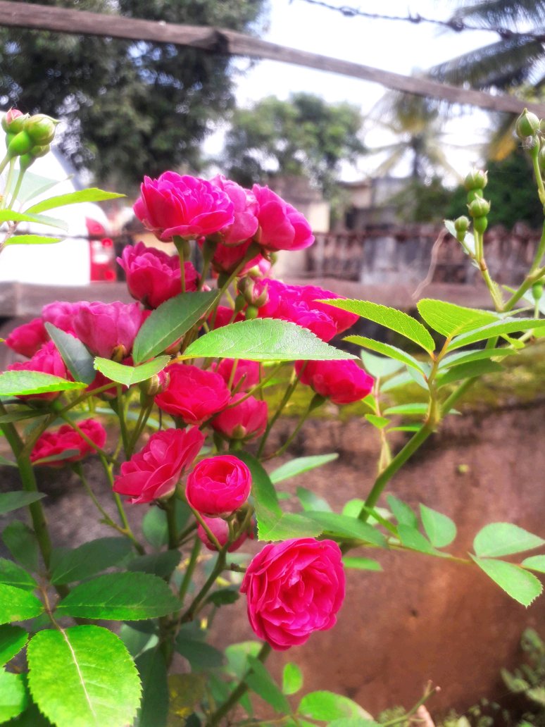 photography with j6 - Samsung Members