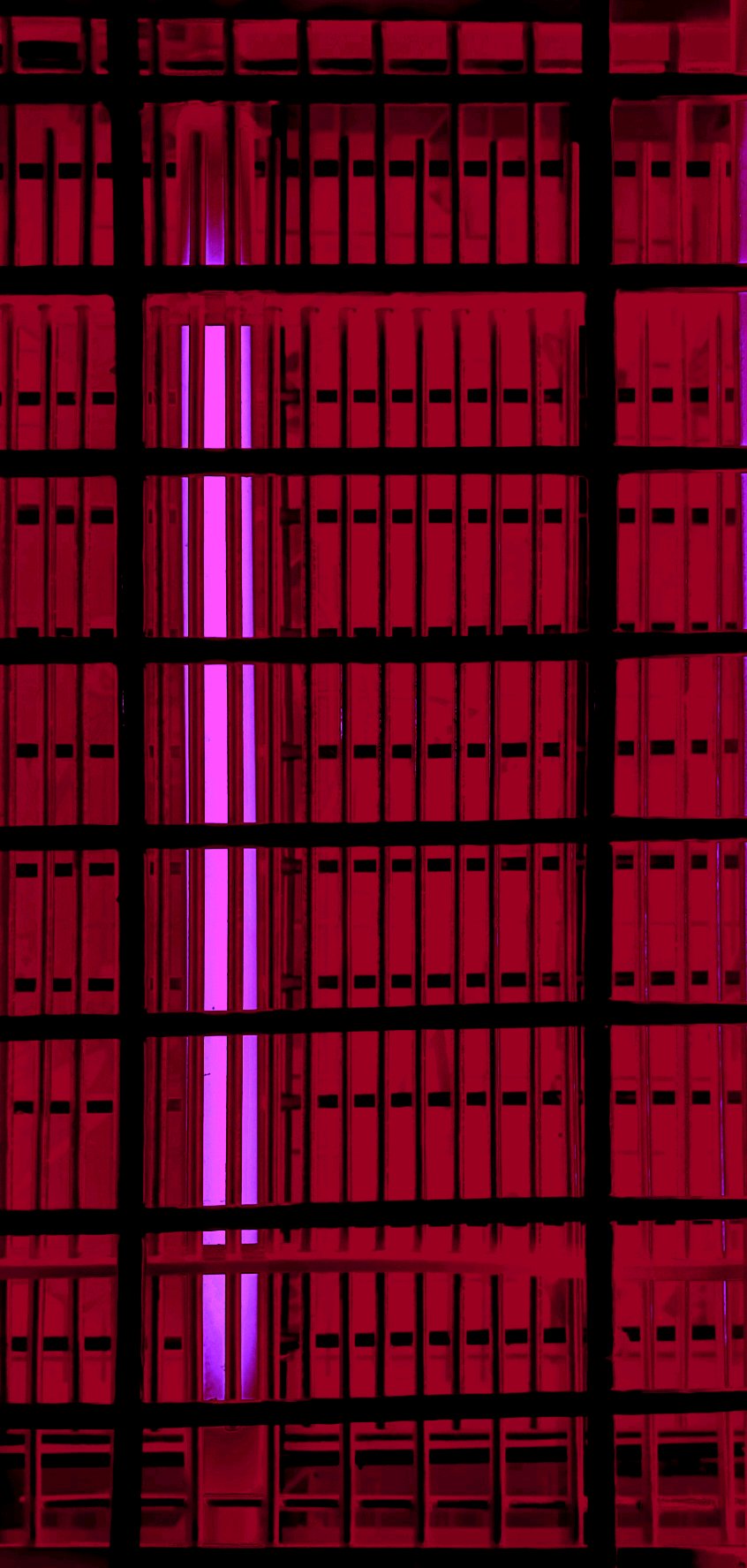 RED TRAP - Samsung Members