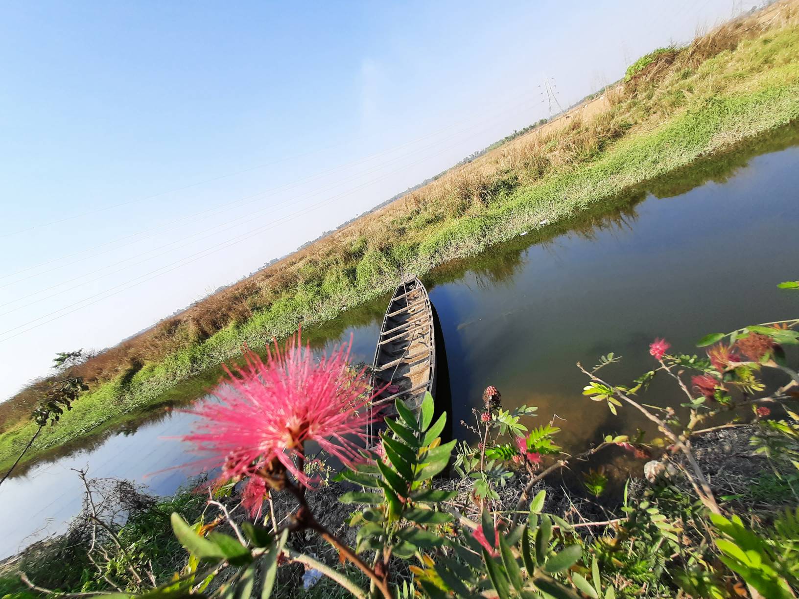 let's do fishing - Samsung Members