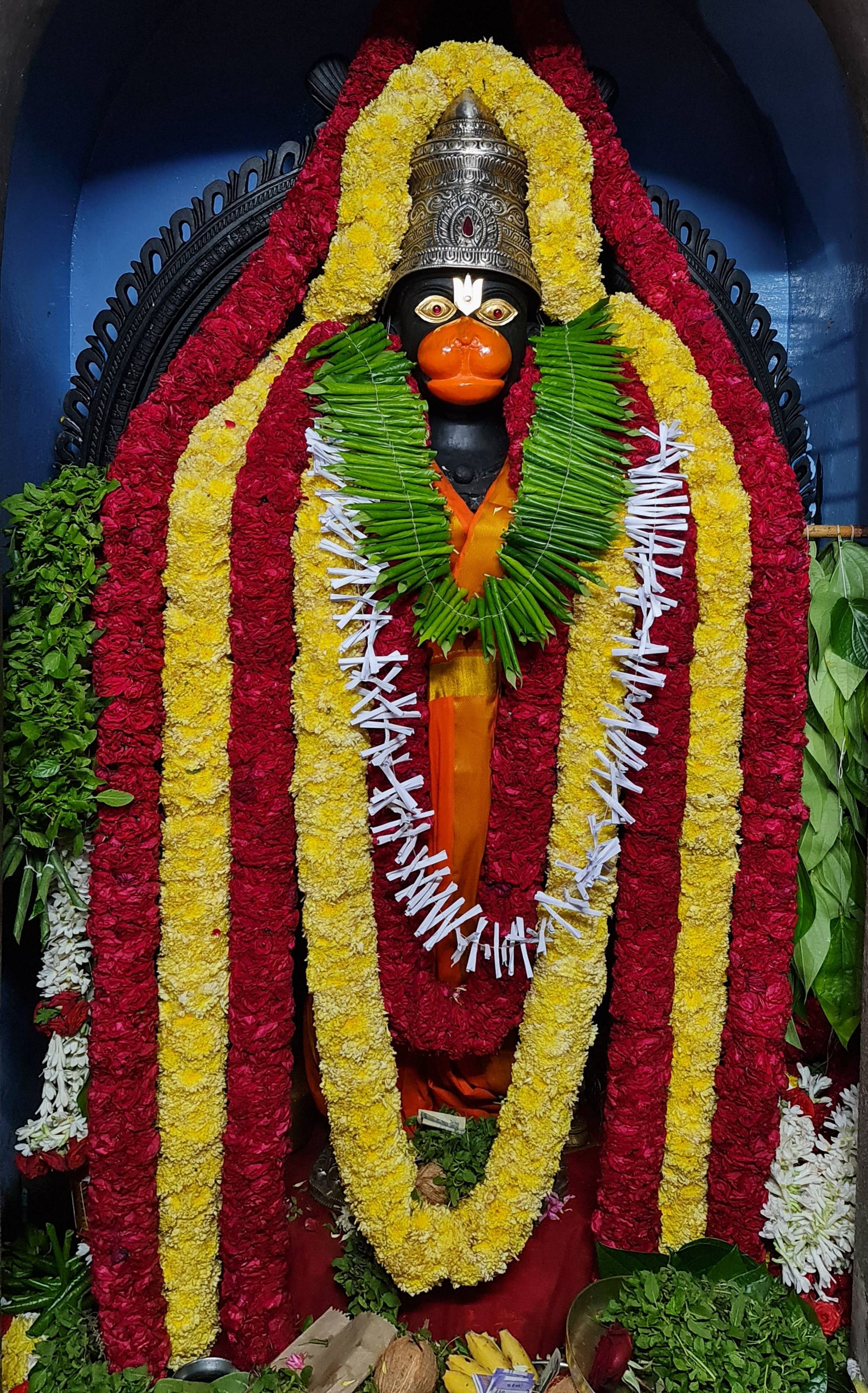 Temple Run 🏃‍♀️...🏃...🏃...🏃...🏃 - Samsung Members