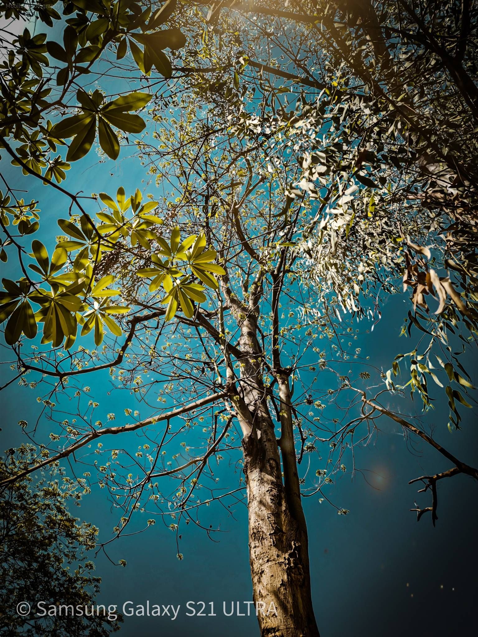 CLICK=SAMSUNG GALAXY S21 ULTRA - Samsung Members