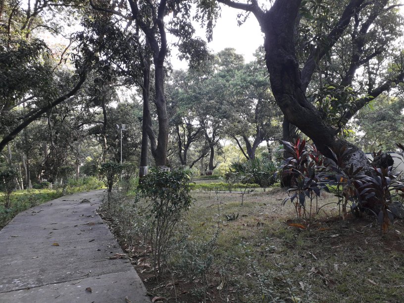 Outdoor Life with J6 - Samsung Members