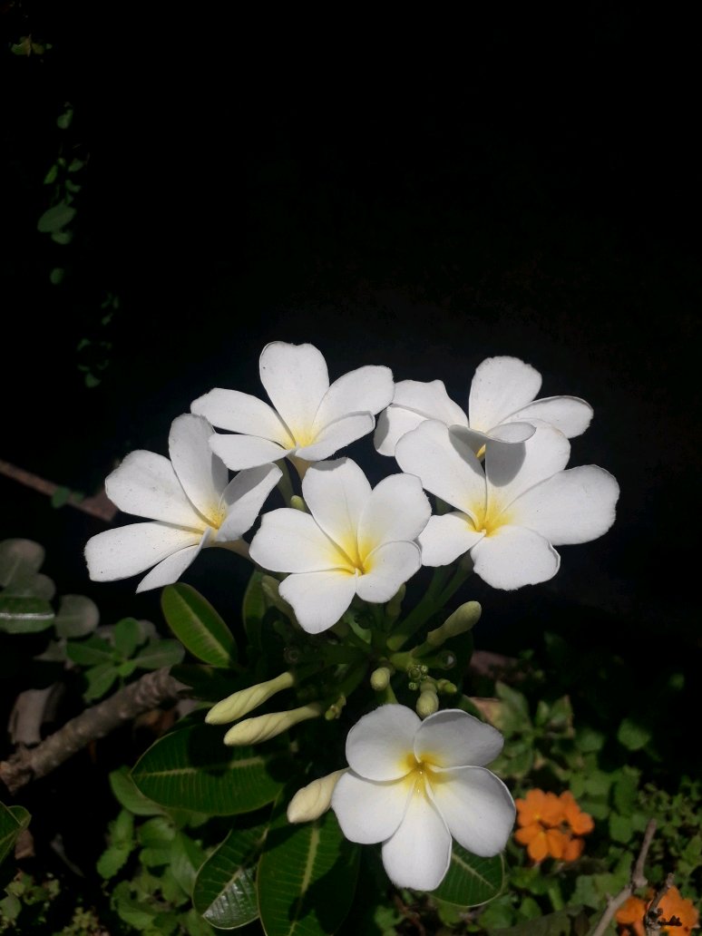 picture with j6 - Samsung Members