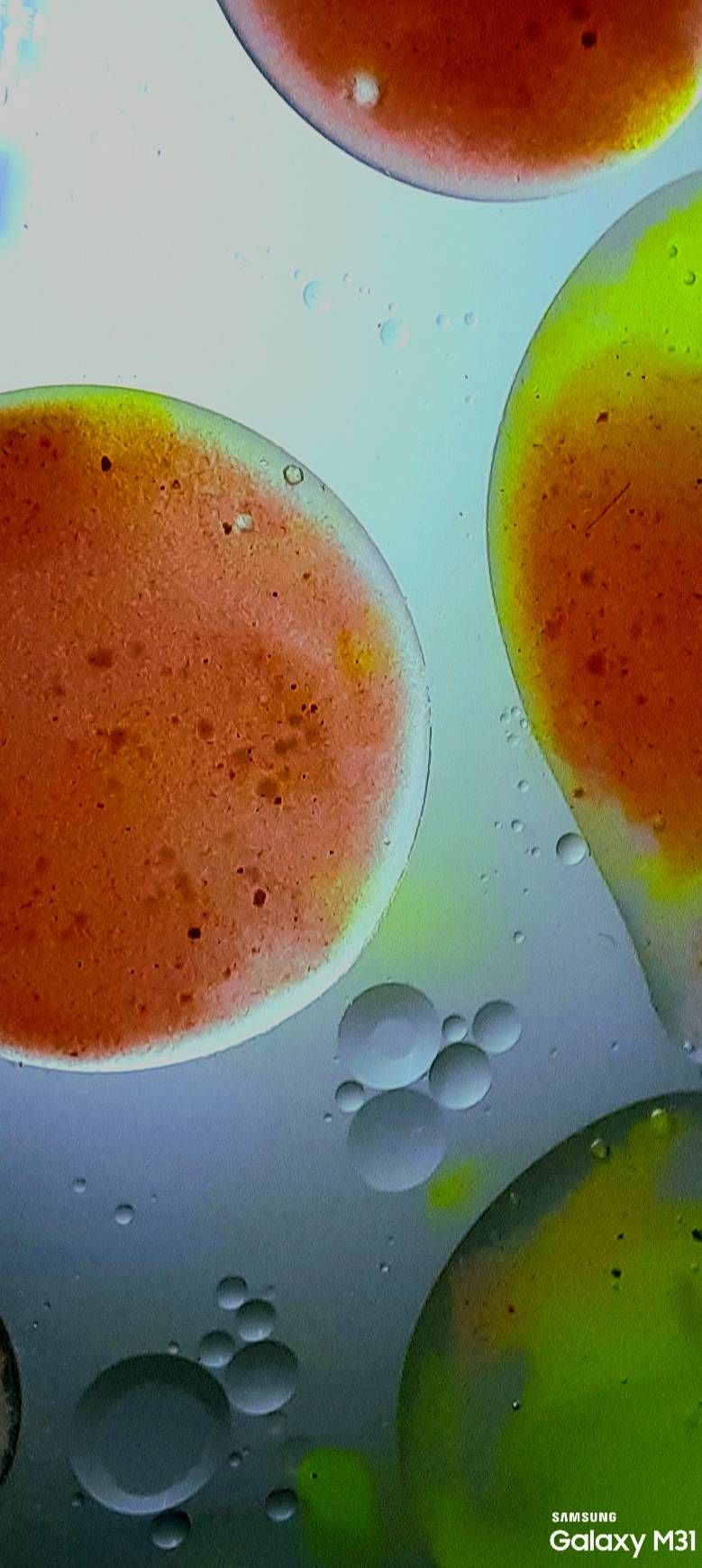 Phase..2... Wallpapers....🙃🙂🙃🙂🙃🙂🙃🙂🙃🙂🙃🙂... - Samsung Members