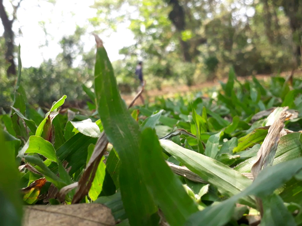 very poor camera quality - Samsung Members