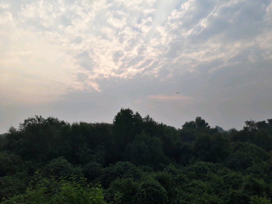 very poor camera quality - Samsung Members