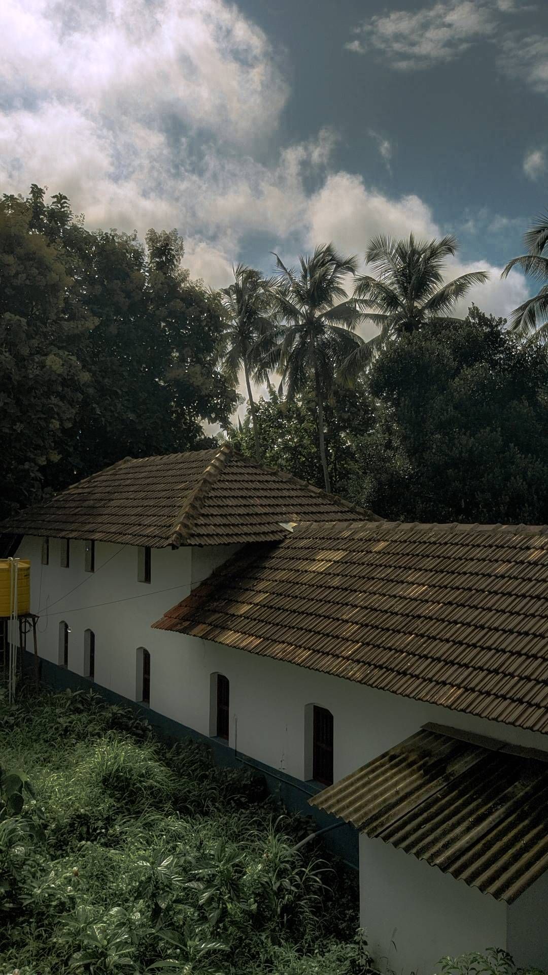 Never stop looking up..!! - Samsung Members