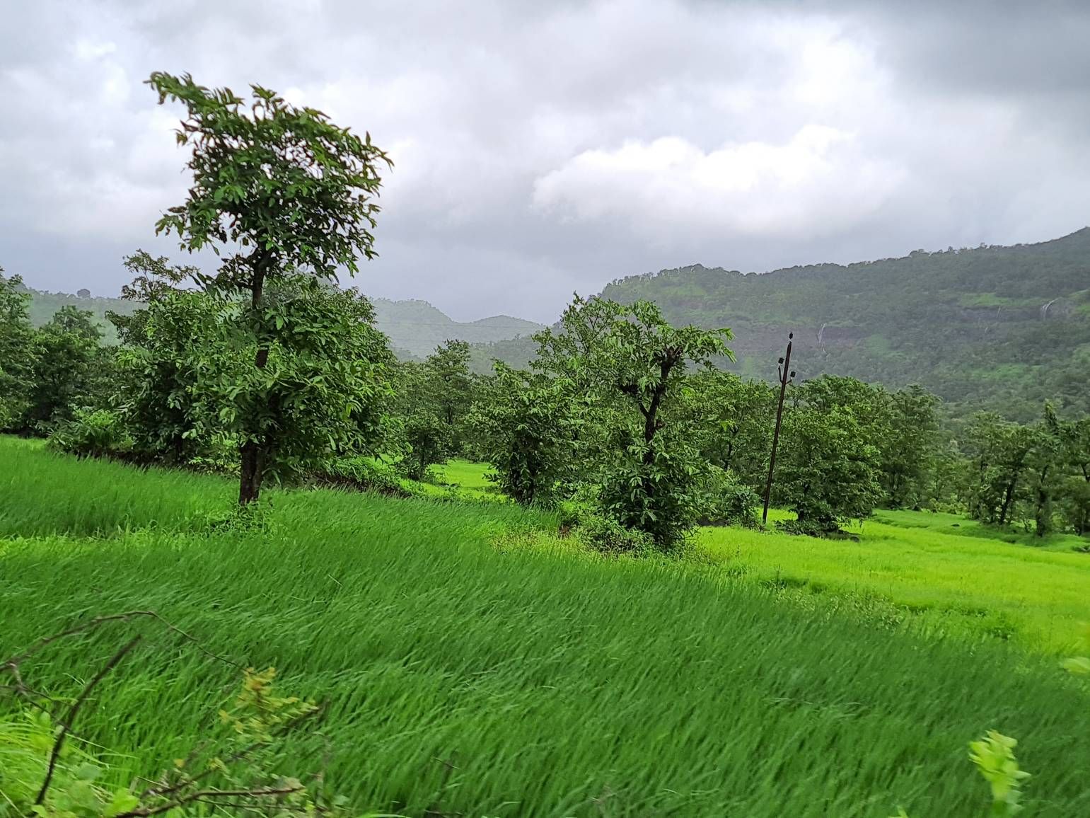 Mahad nature - Samsung Members