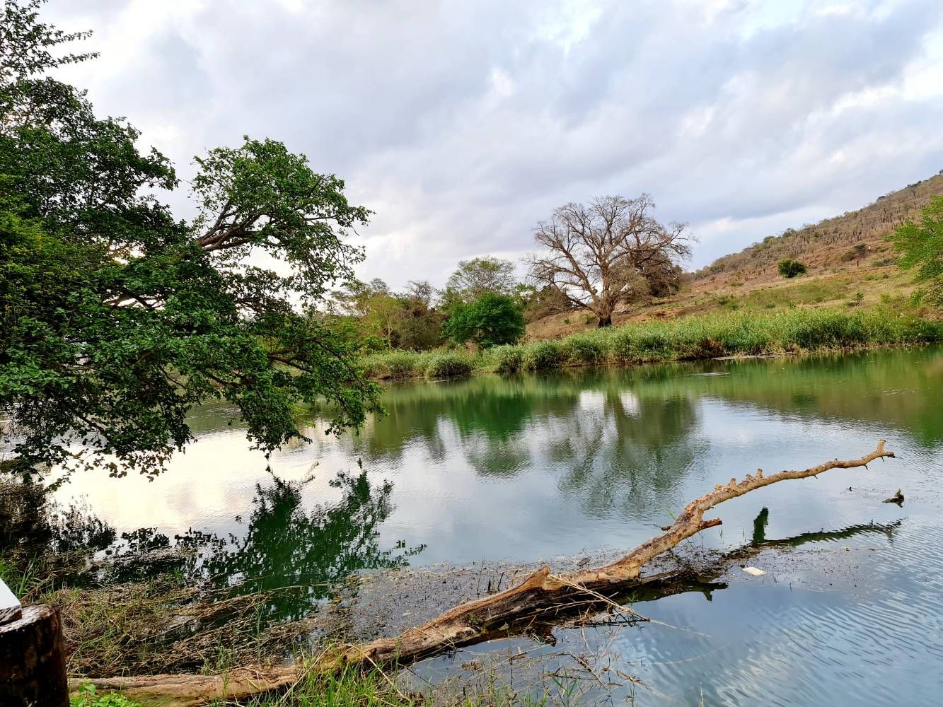 Pongola River - Samsung Members