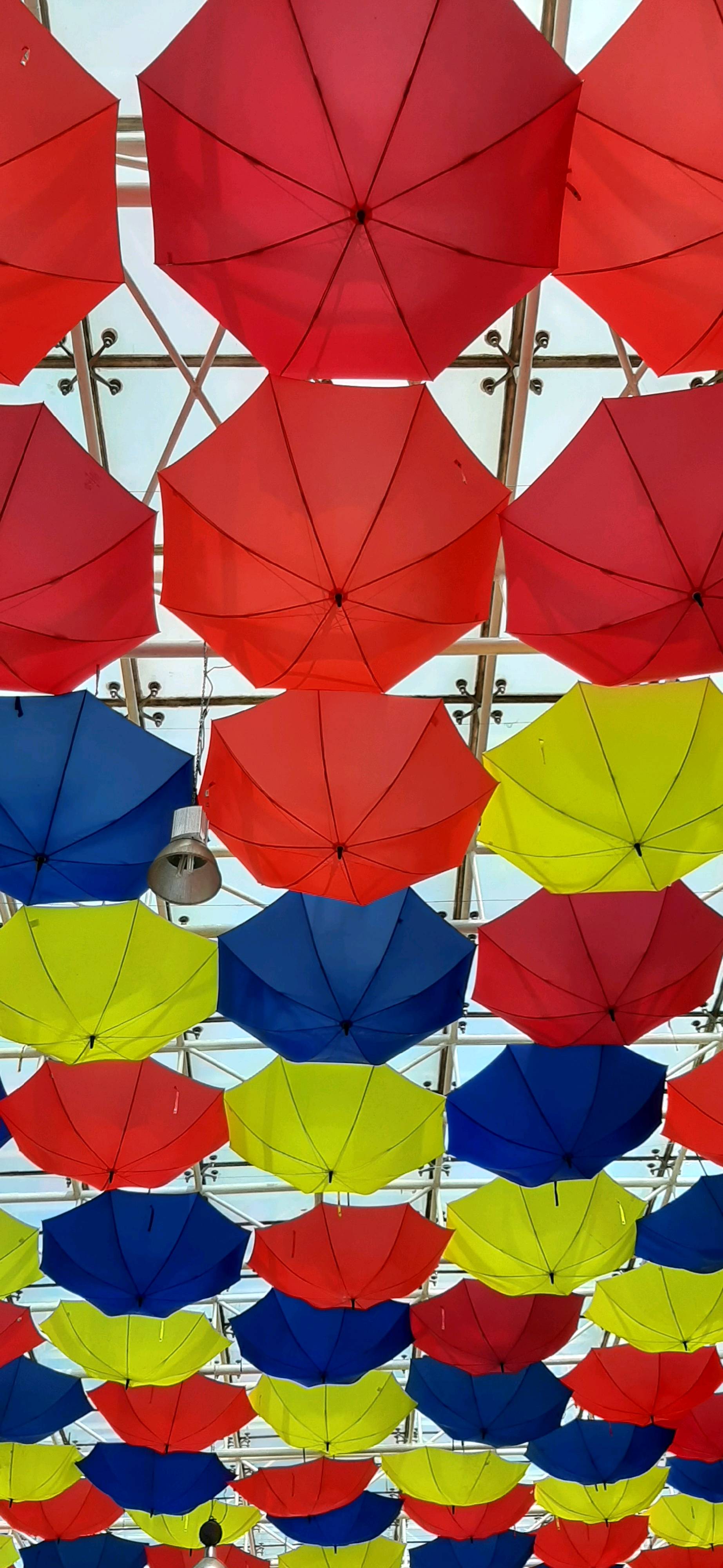 The Monsoon has arrived.... Select Your Colour🙂😃 - Samsung Members