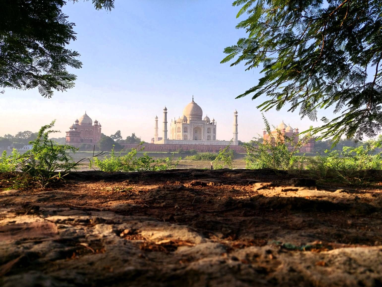 Taj Mahal - Samsung Members