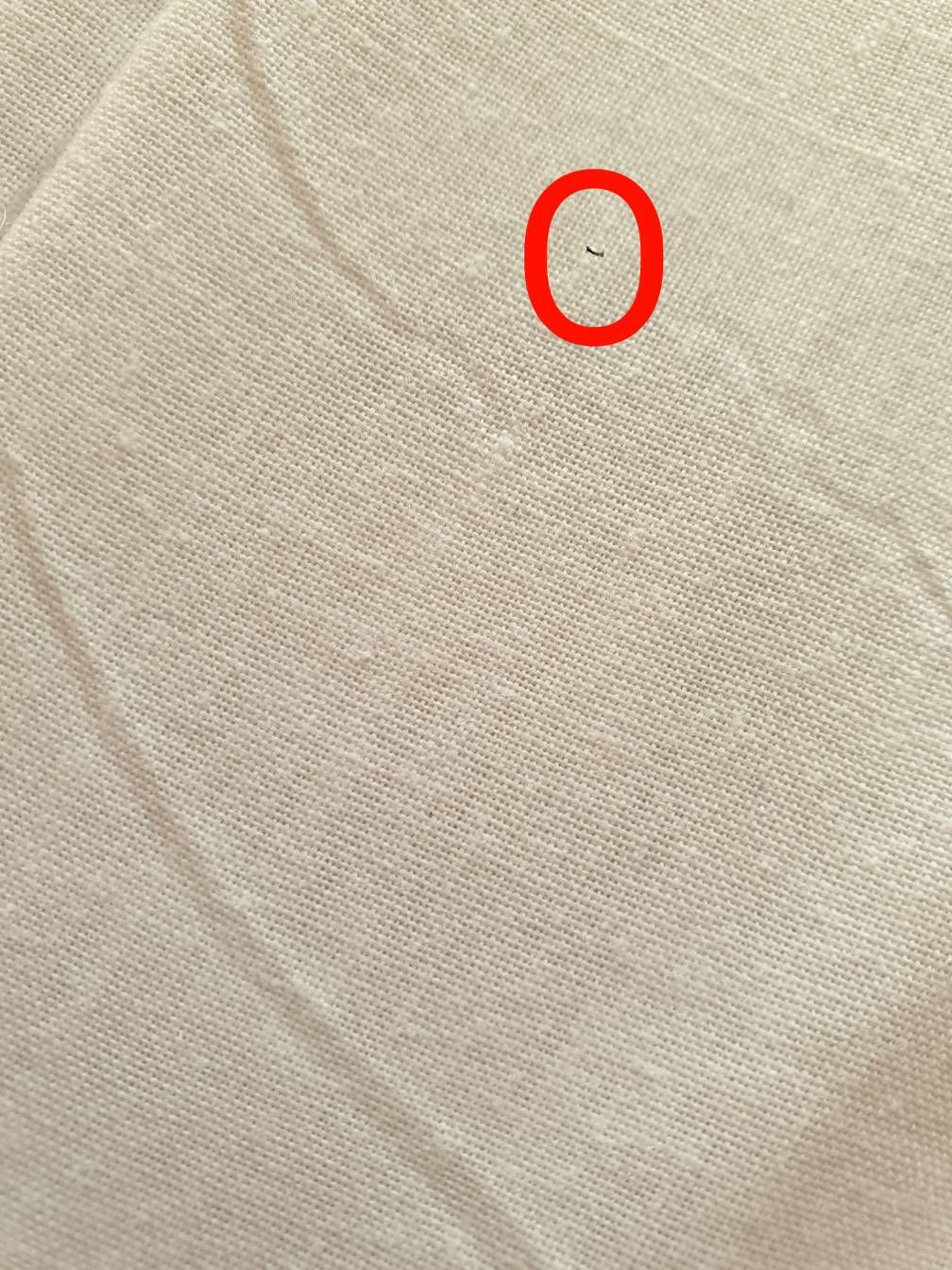 Camera/screen bugs? - Samsung Members