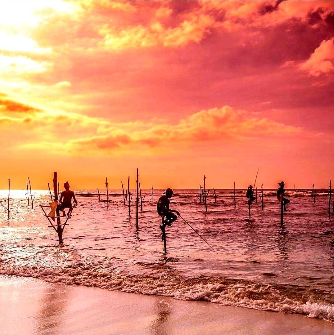 Stilt Fishing - Samsung Members