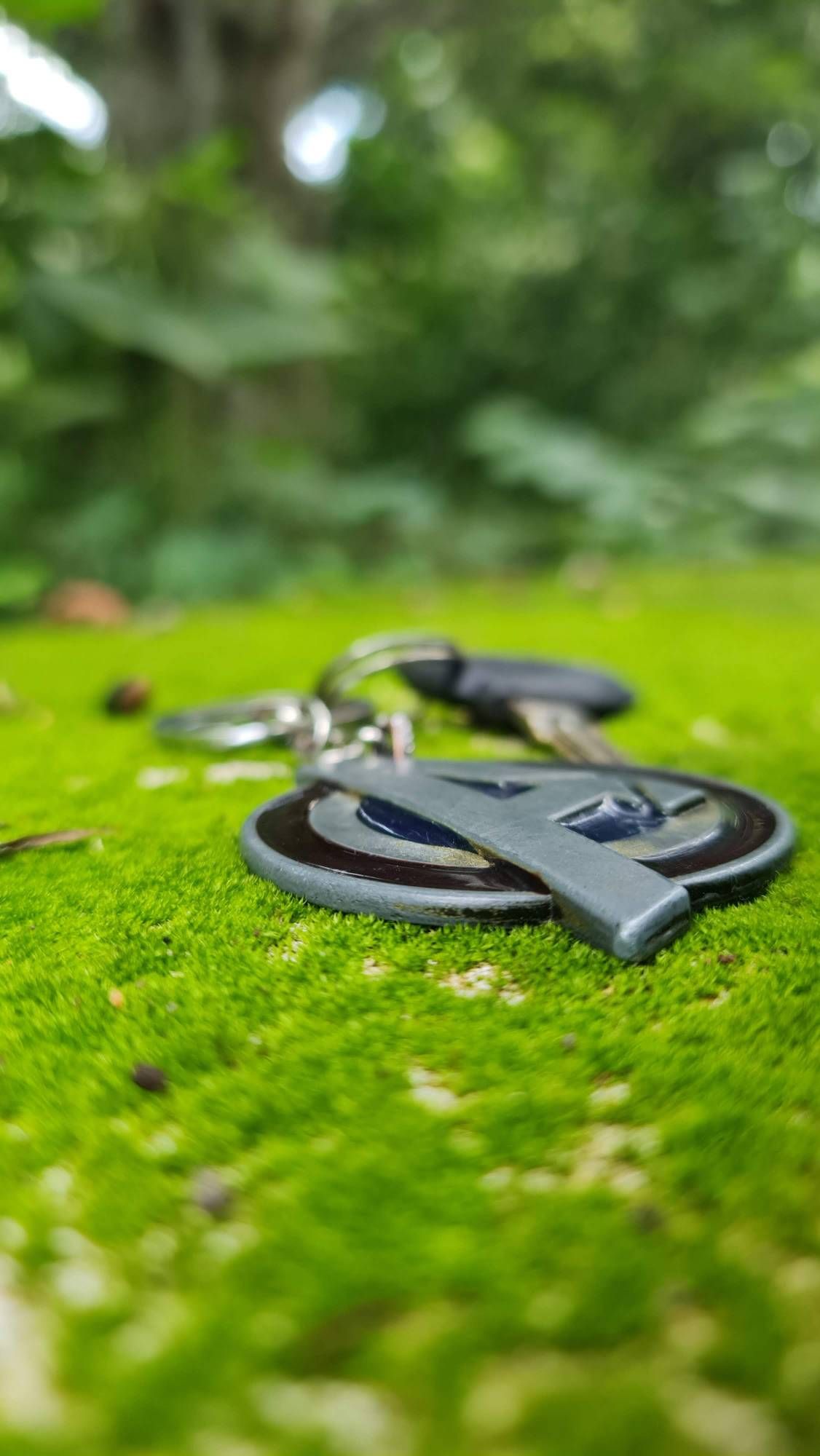 A for Adventure - Samsung Members