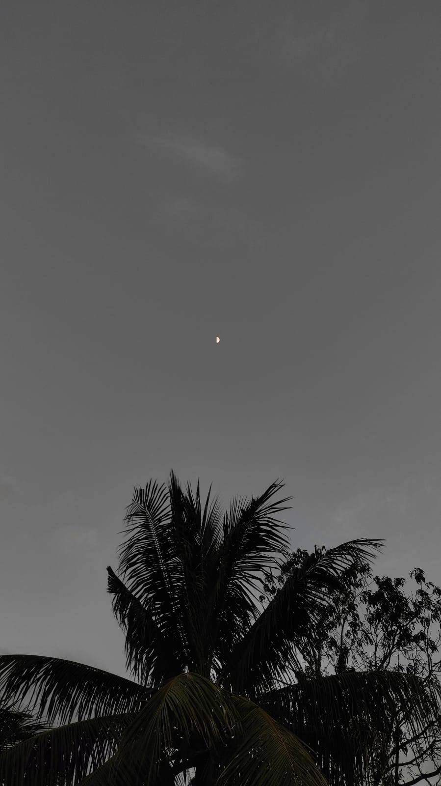 Photo on m 335g - Samsung Members