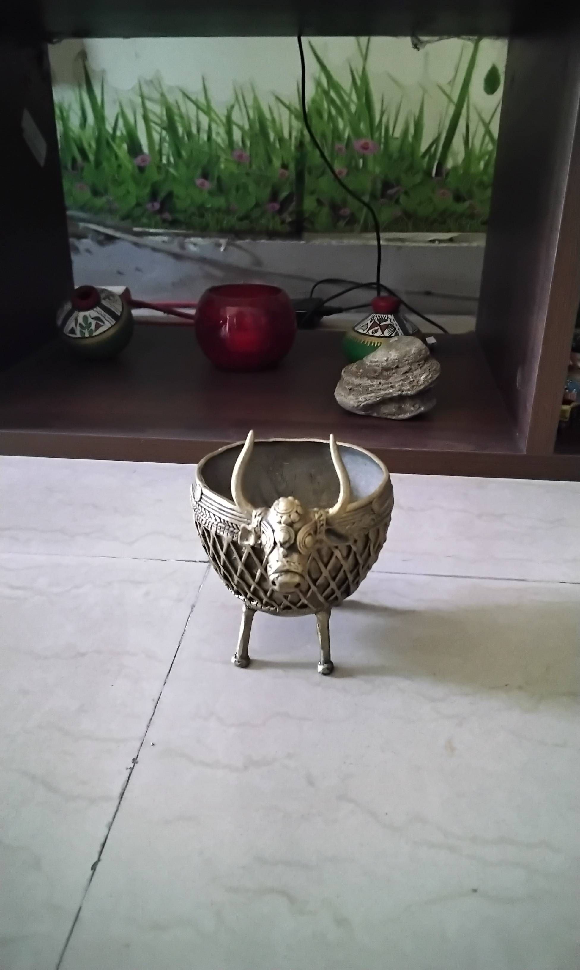 Bull cup - Samsung Members