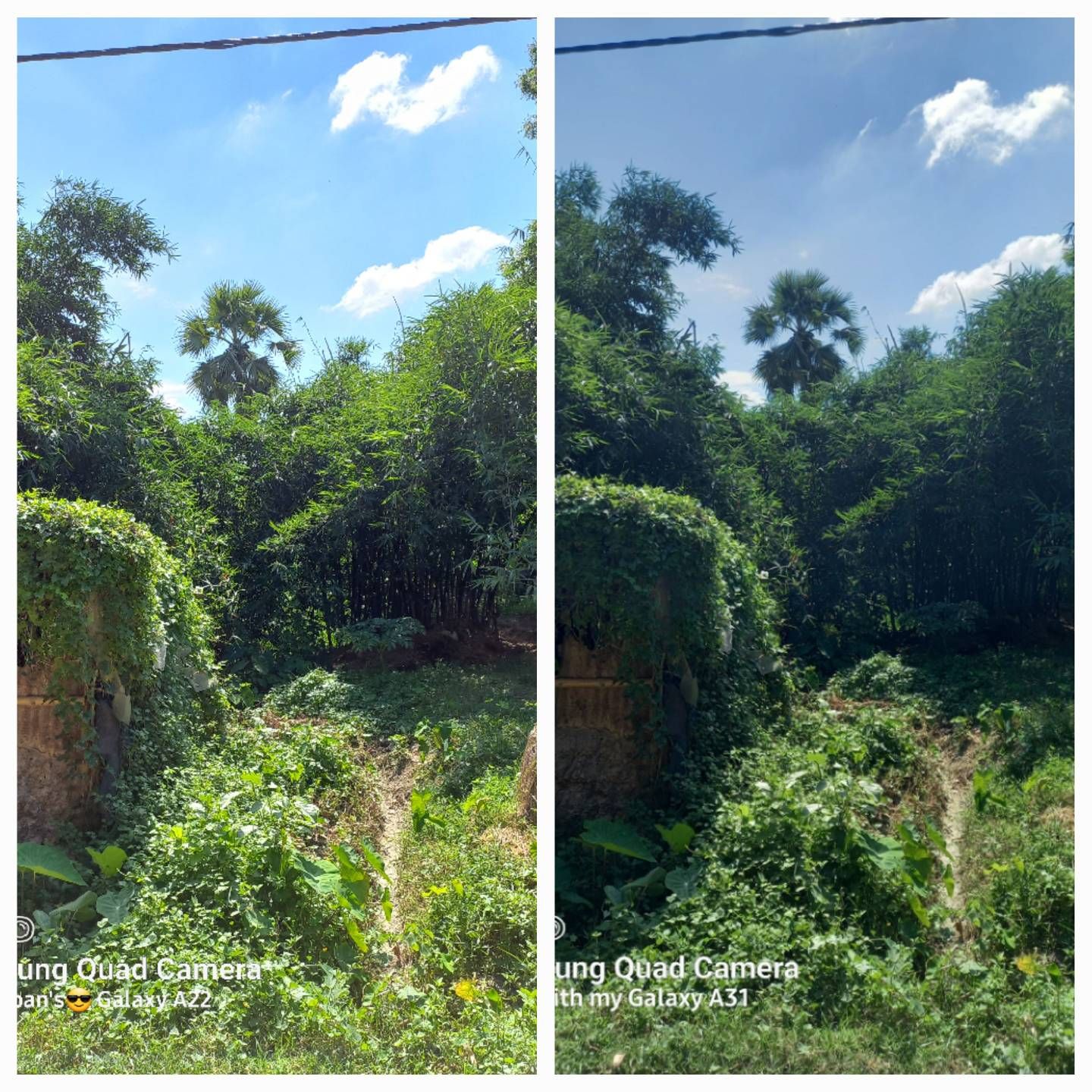 Camera test - Samsung Members