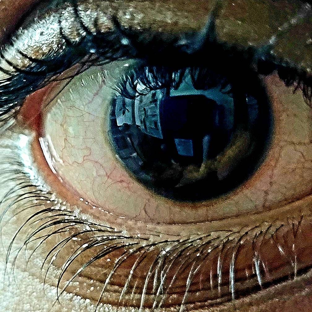 Best camera phone - Samsung Members