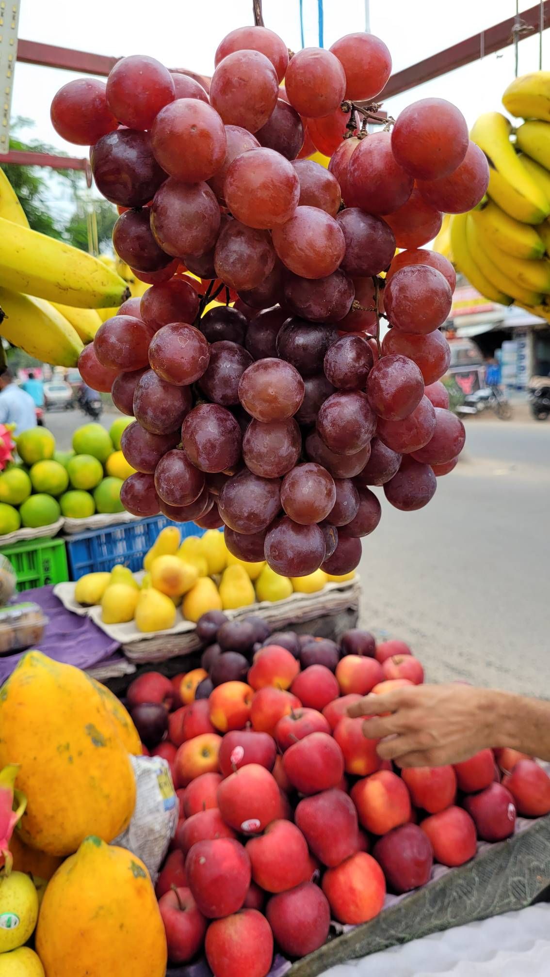 Grapes🍇 - Samsung Members