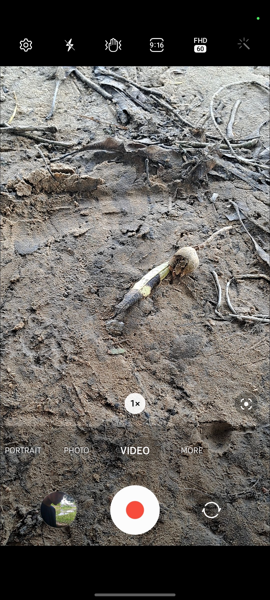 Camera mode. - Samsung Members