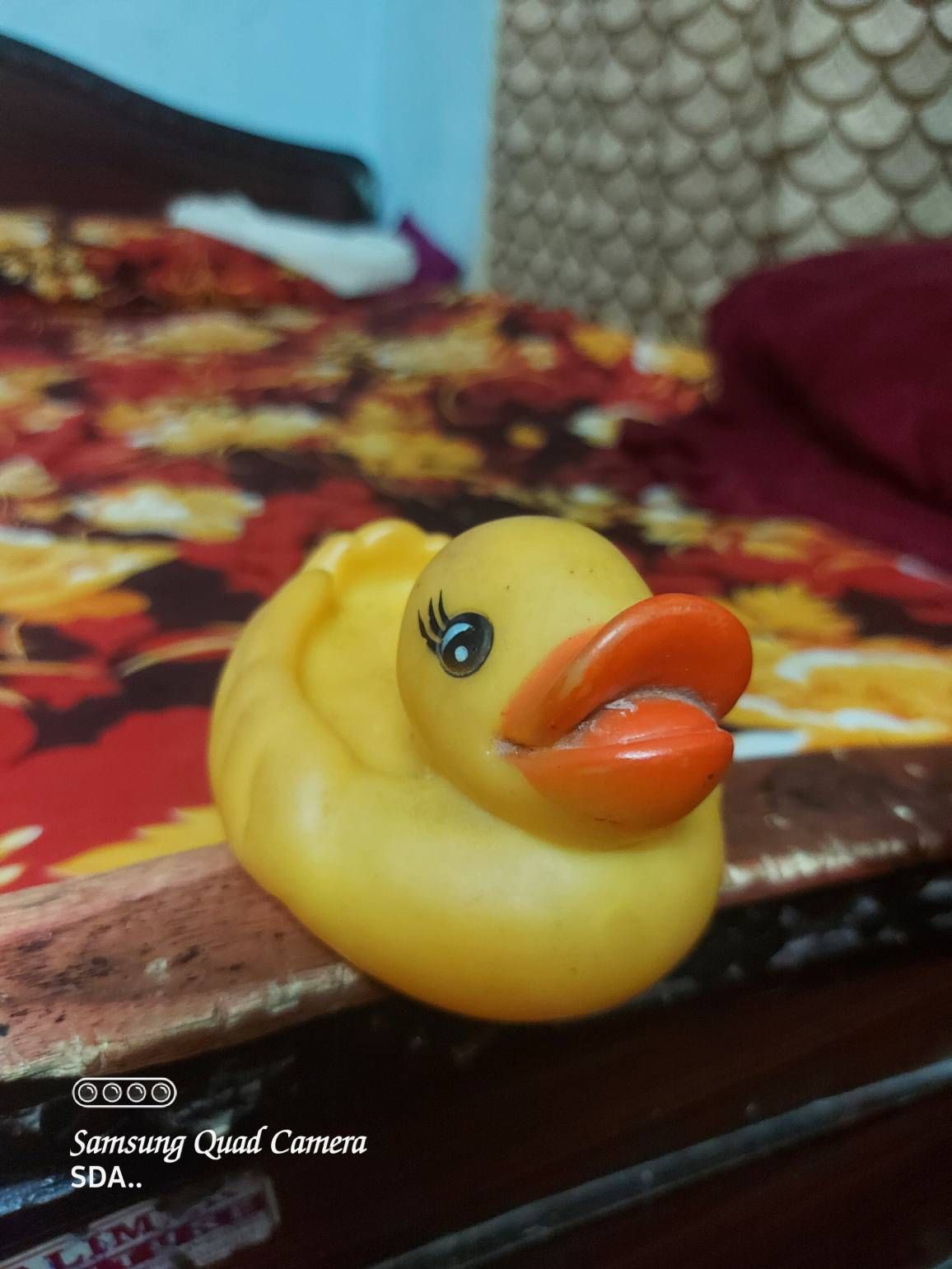 Duck - Samsung Members