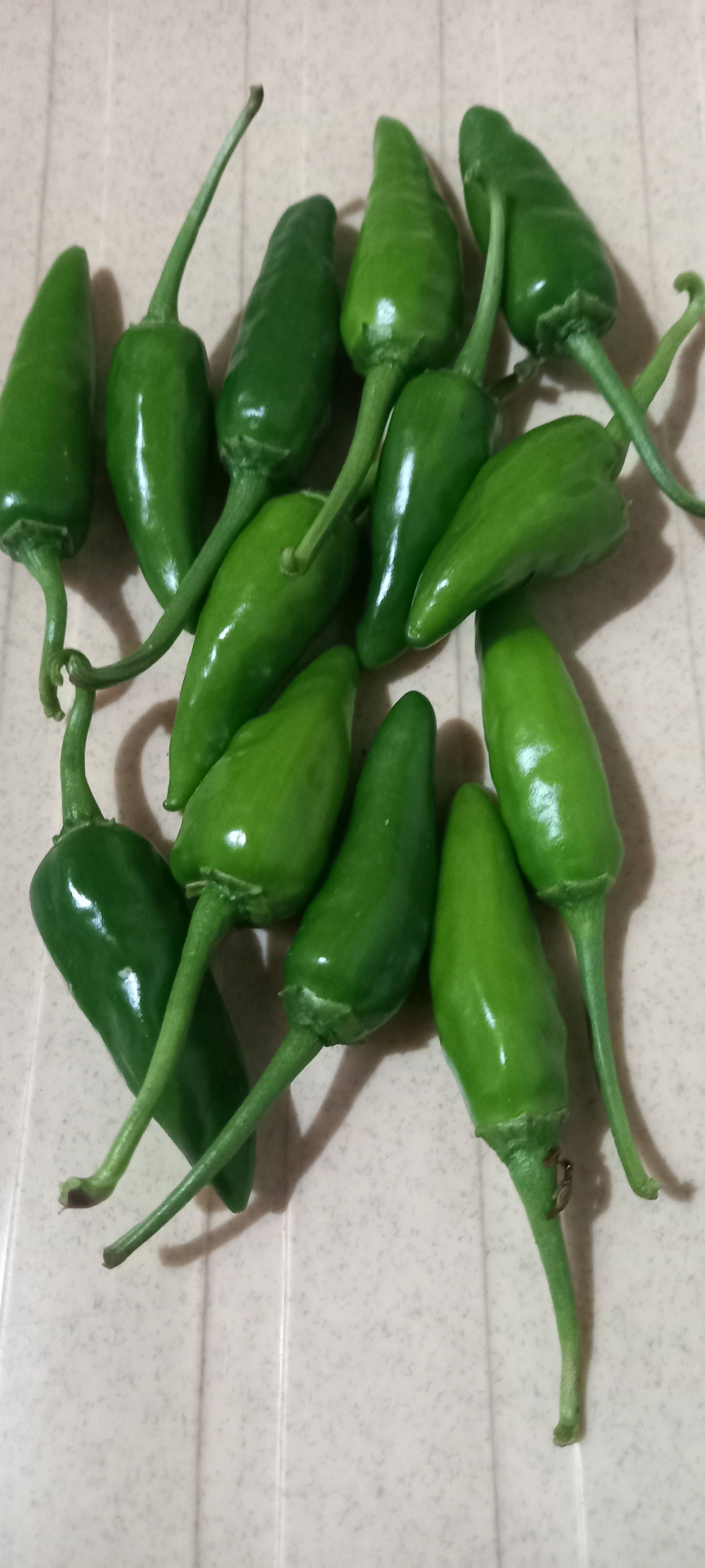 Become Hulk with Spicy Green Chilly - Samsung Members