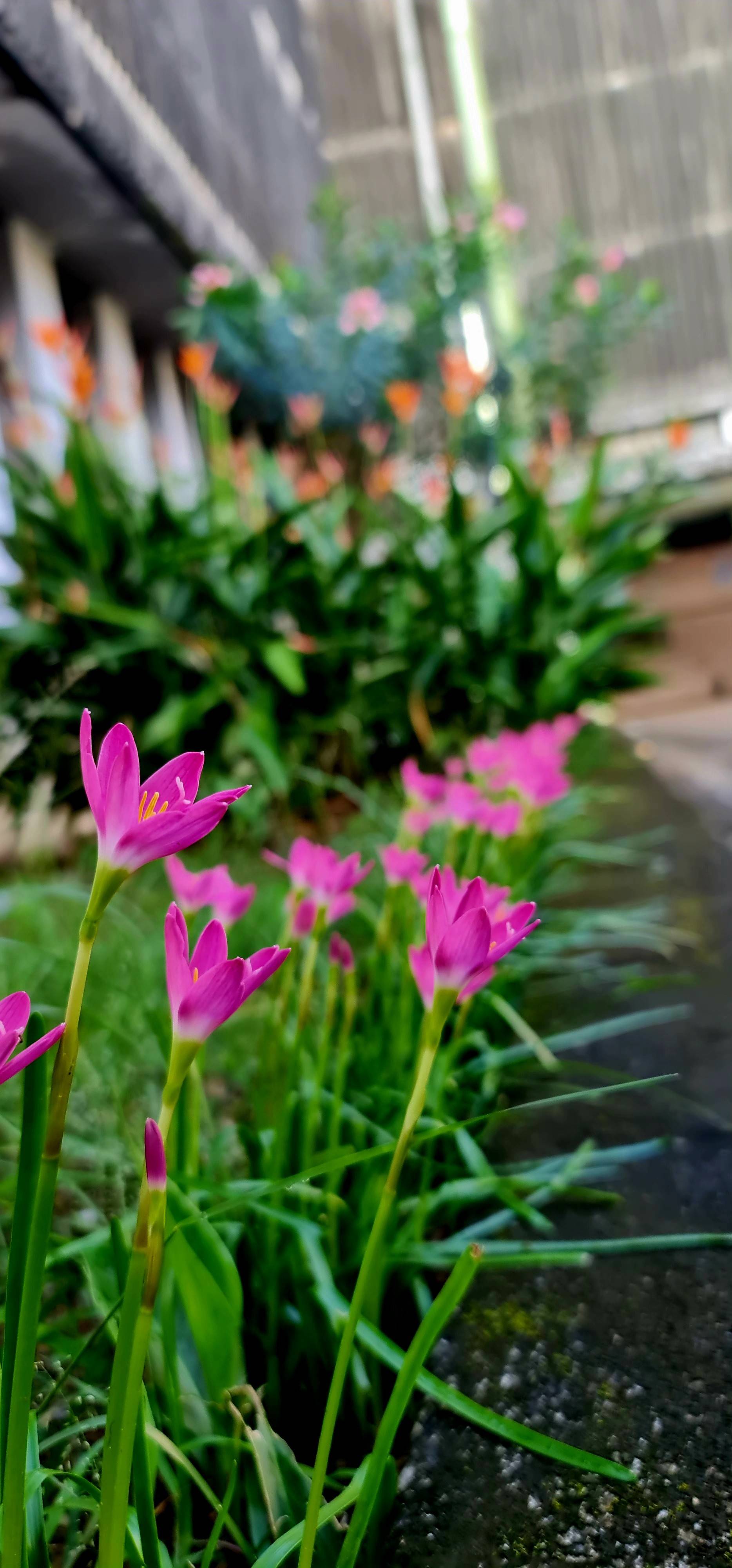 Samsung Galaxy note 20 ultra - Samsung Members