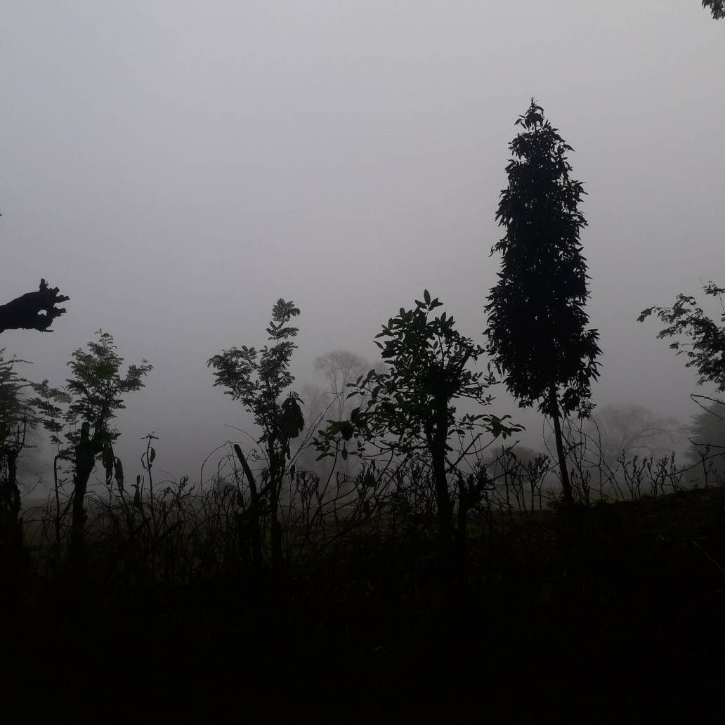 30,000 KB/s speed with jio true 5g in s22 ultra - Samsung Members