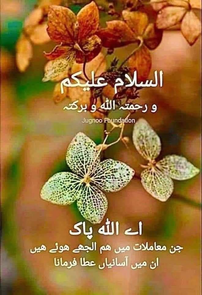 Subah Bakhair - Samsung Members