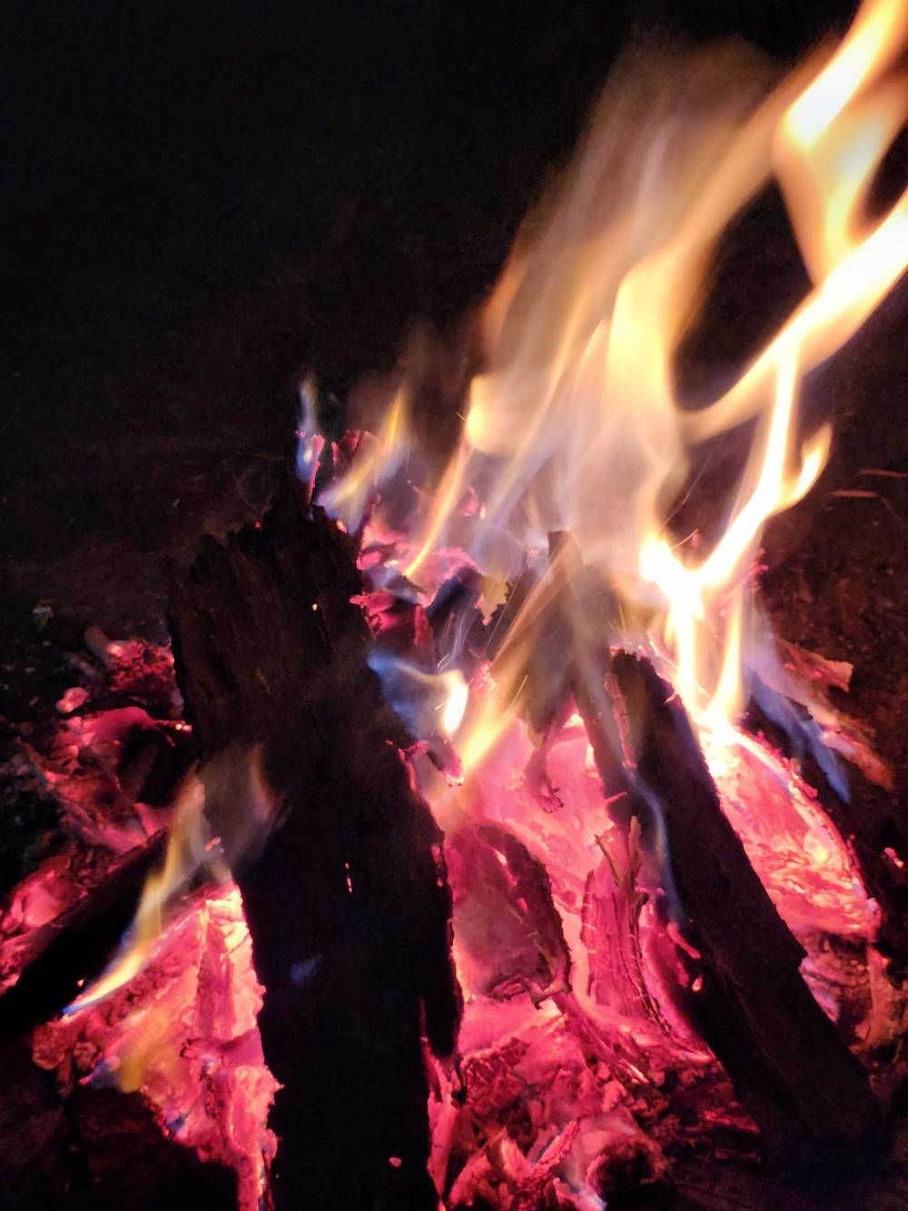 Cold - Samsung Members