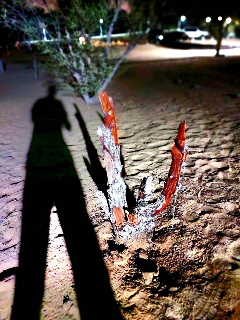 Nizal - Samsung Members