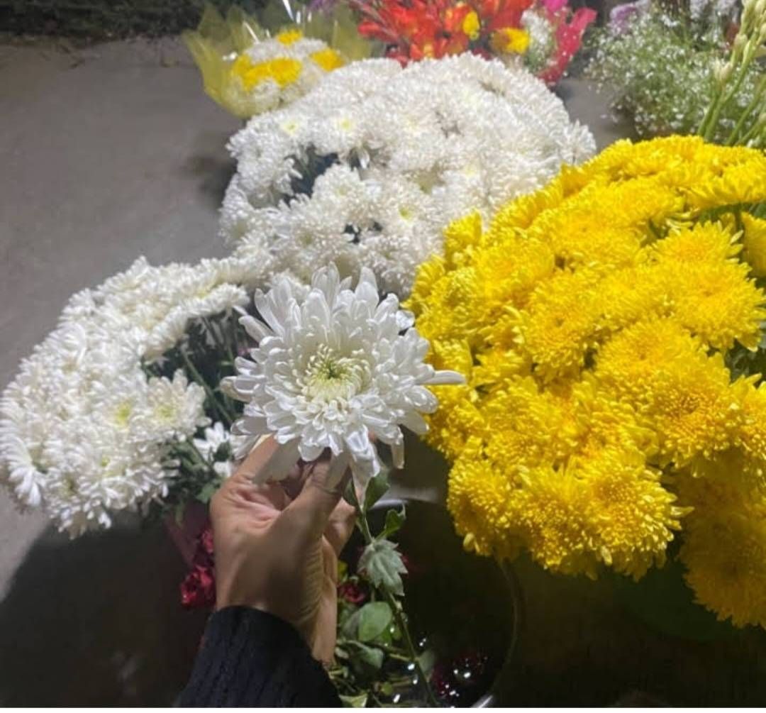 Flowers - Samsung Members