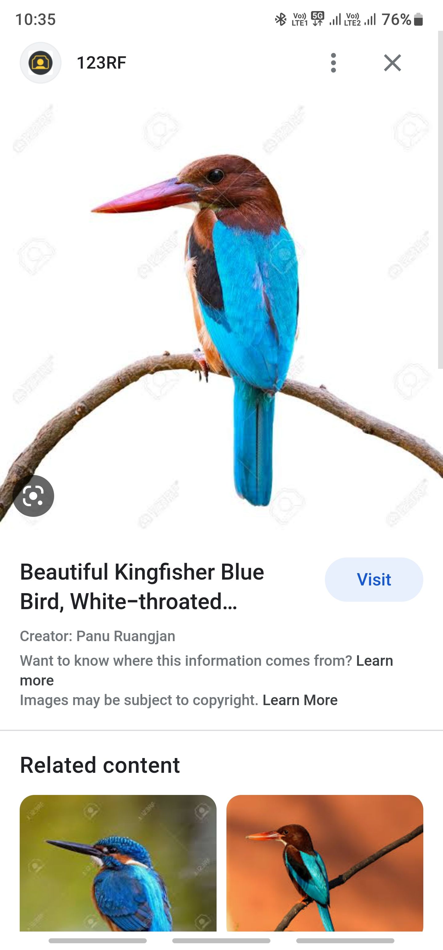 S22 Ultra,Bird Kingfisher.... - Samsung Members