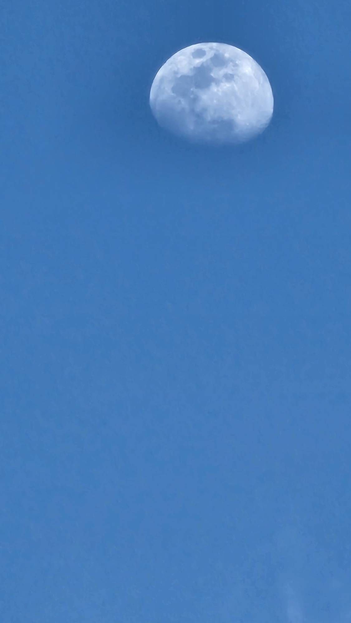 Mob - Samsung Members