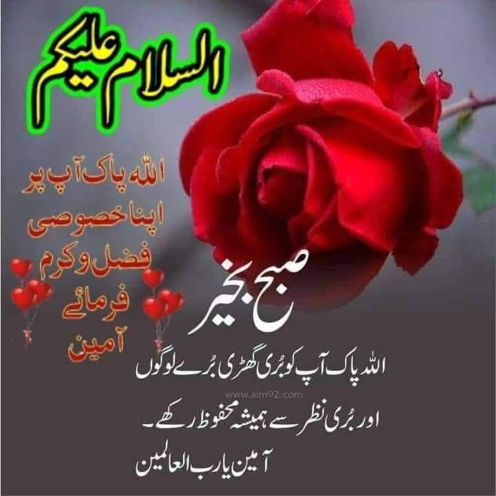 Subah Bakhair - Samsung Members