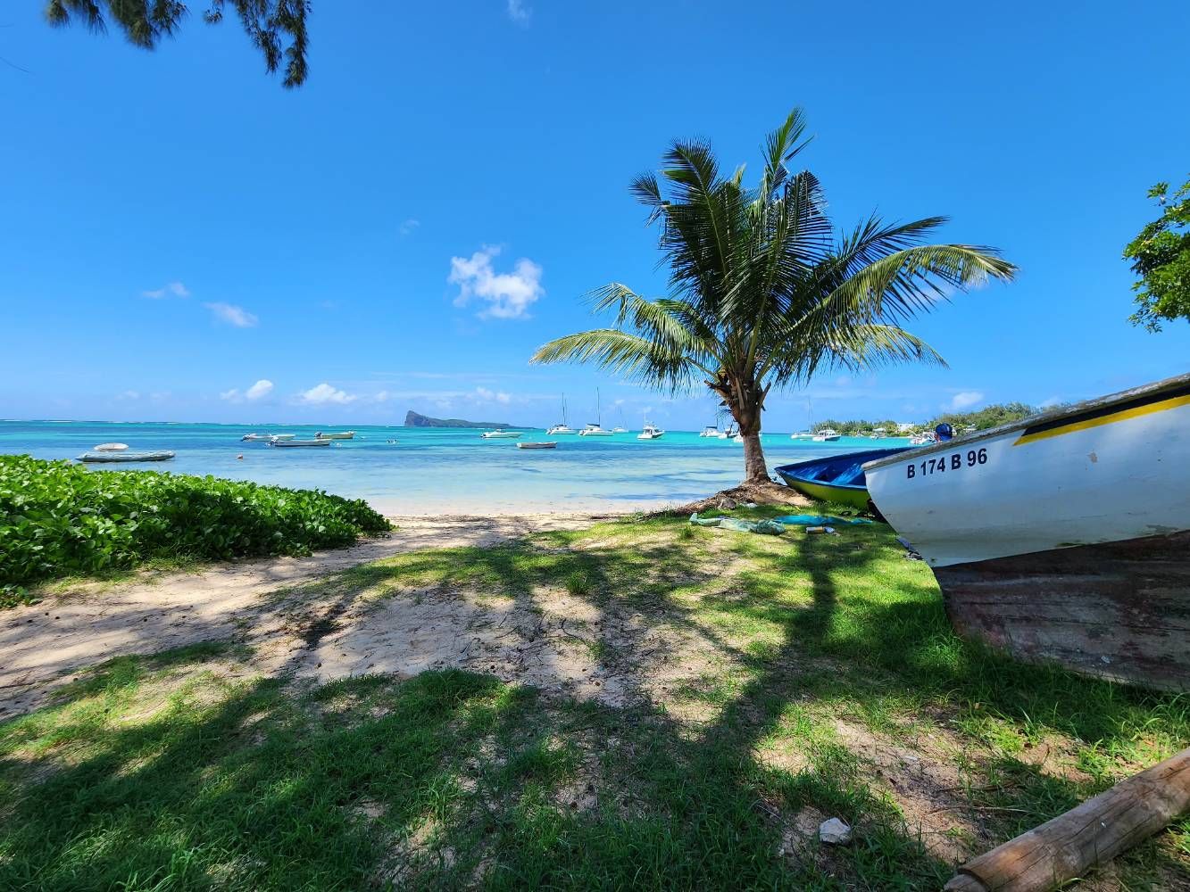 Mauritius - Samsung Members