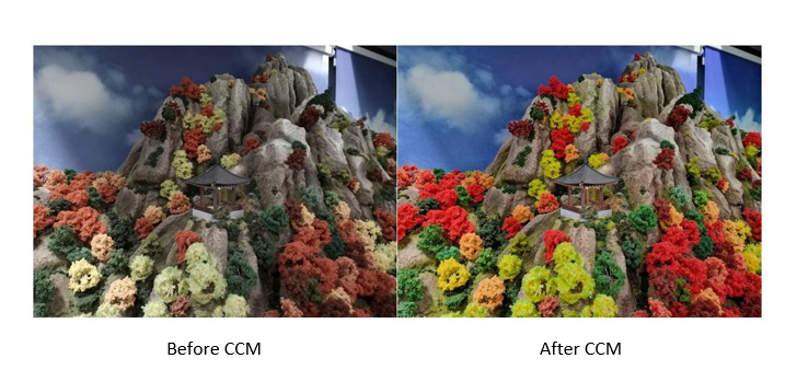 Color in Camera - Samsung Members