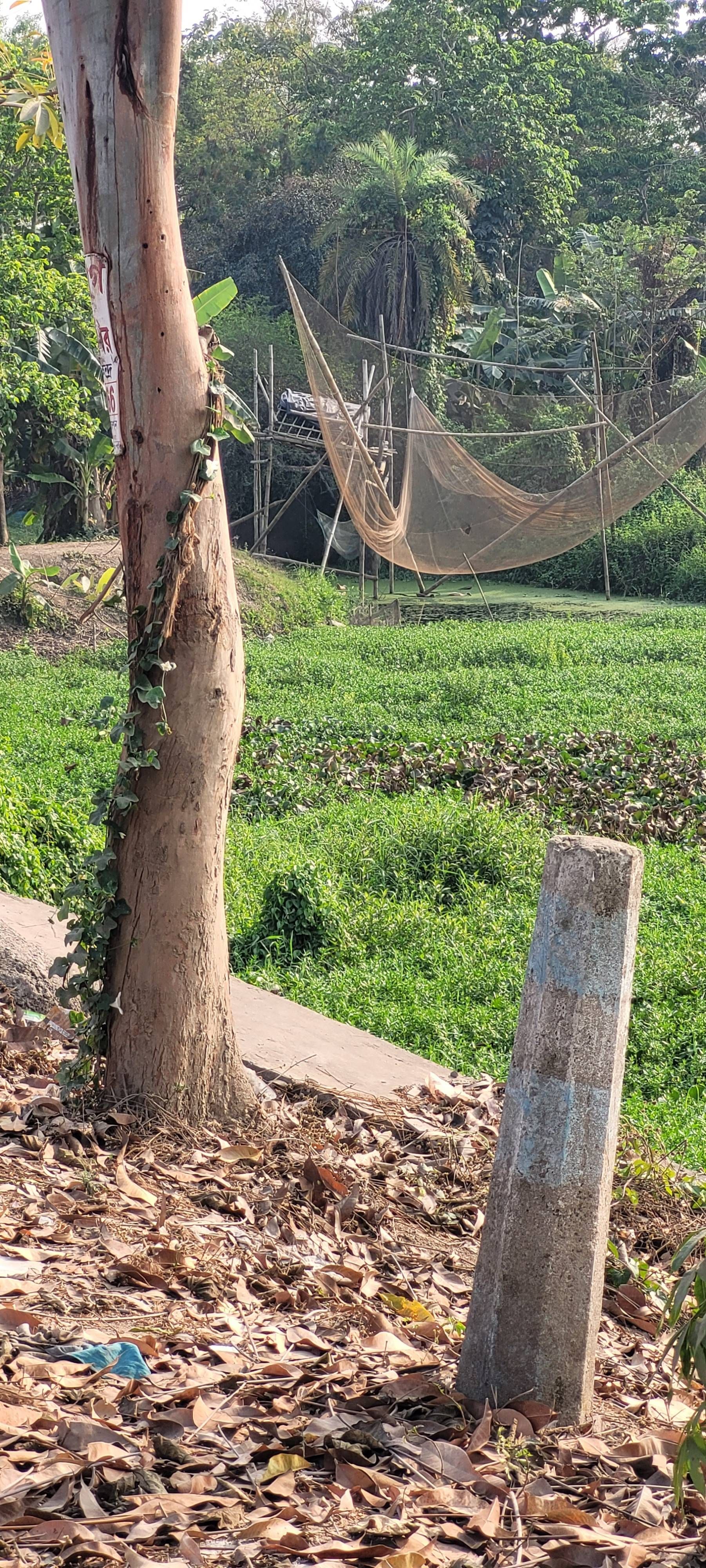 Fishing Net & Bats - Samsung Members