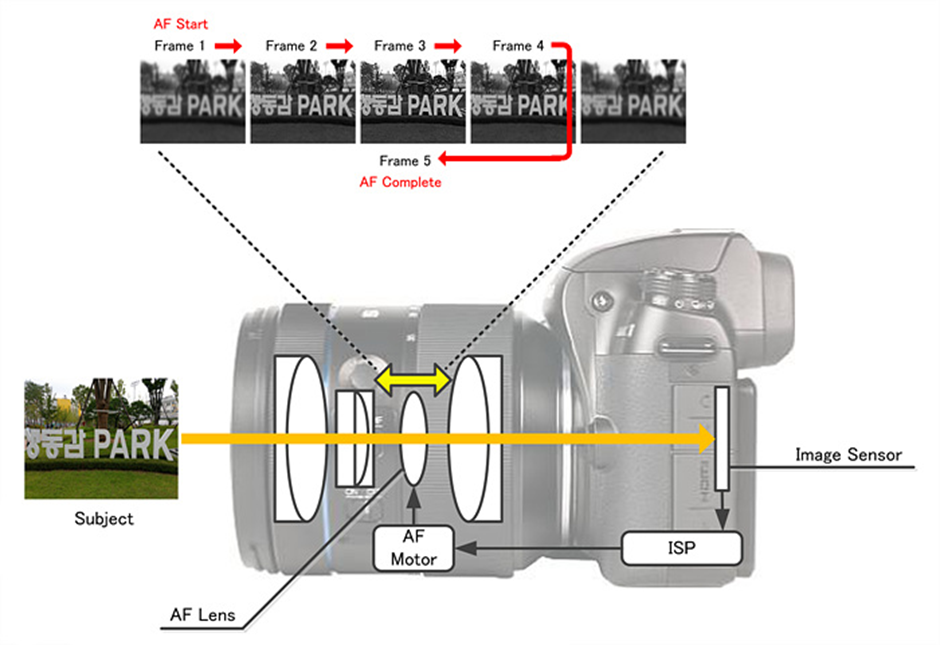 Focus - Samsung Members