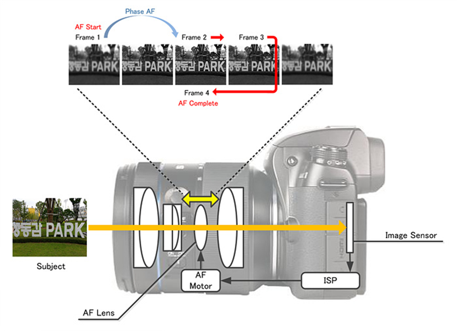 Focus - Samsung Members
