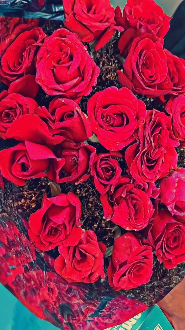 Flowers 💐 - Samsung Members