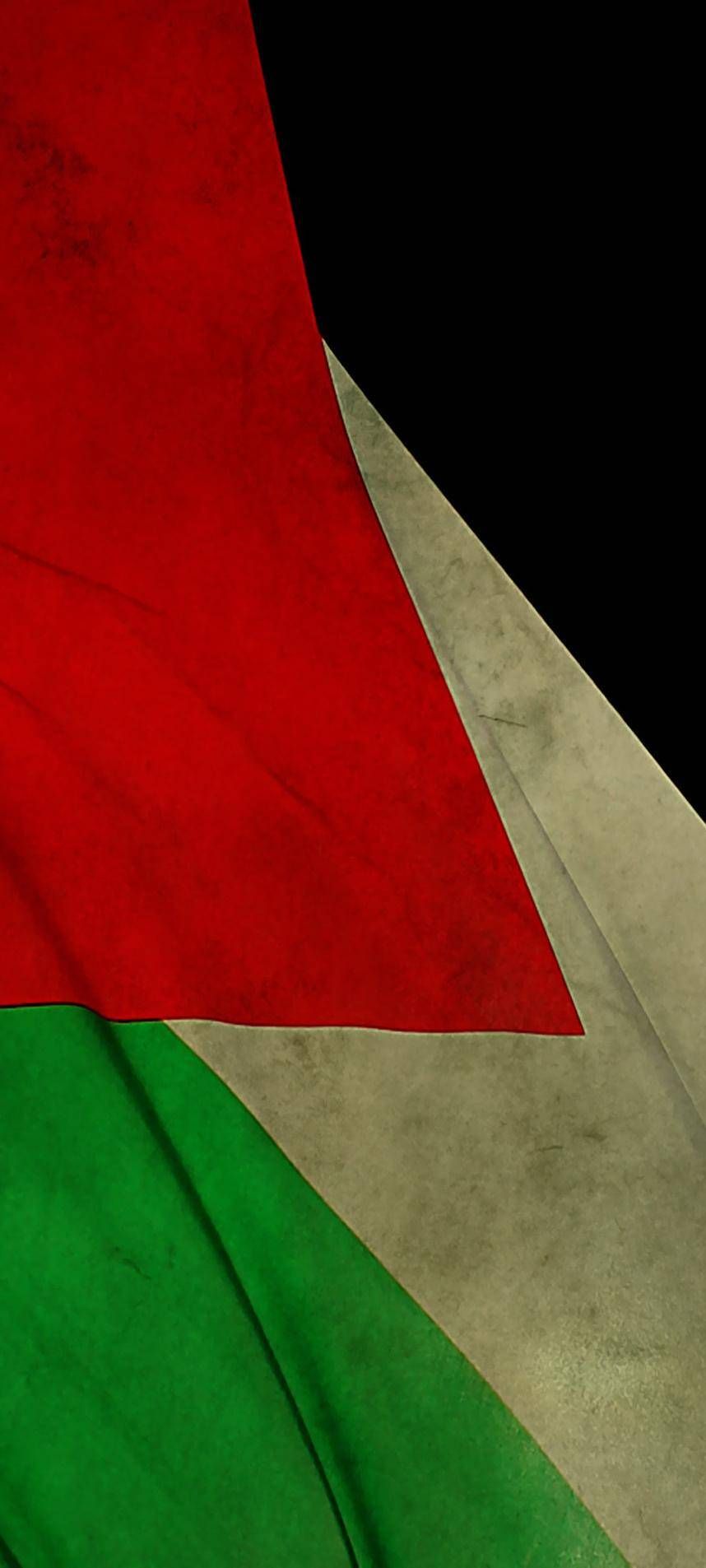 falasteen - Samsung Members