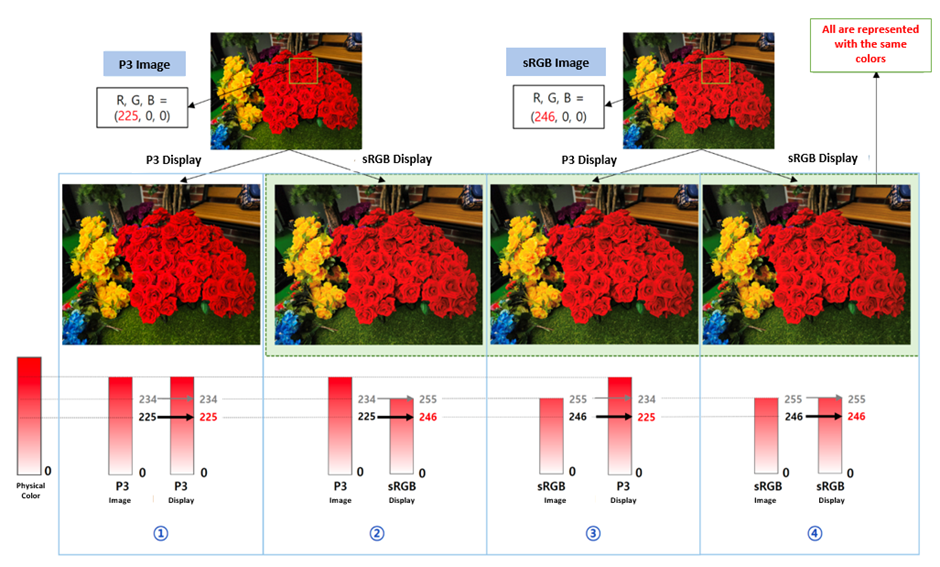 Color (Displaying a wide color gamut) - Samsung Members