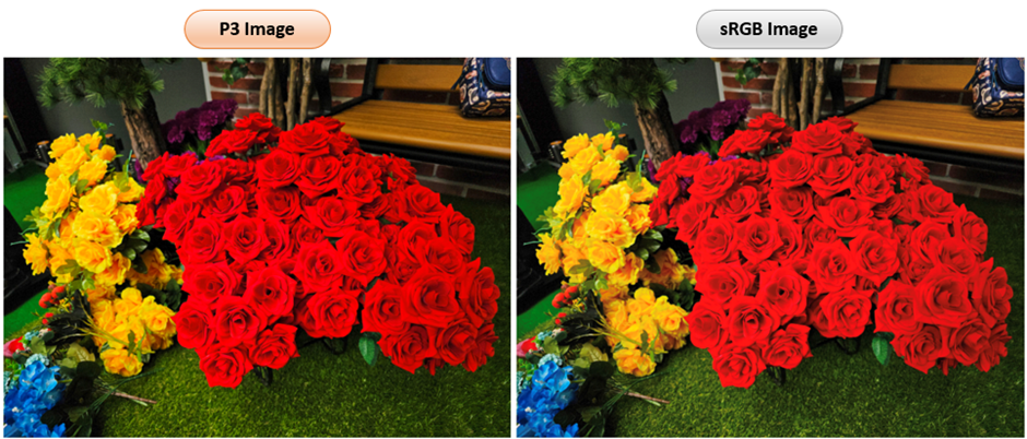 Color (Displaying a wide color gamut) - Samsung Members